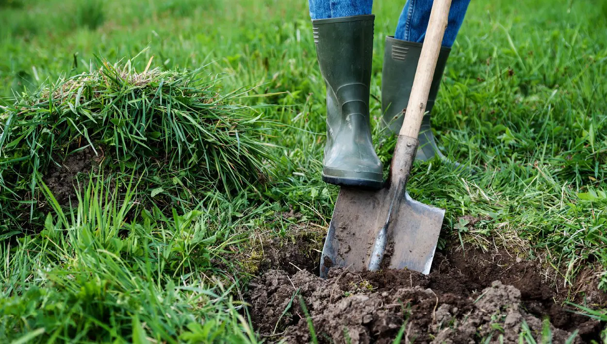 Building and Construction | Township of Severn